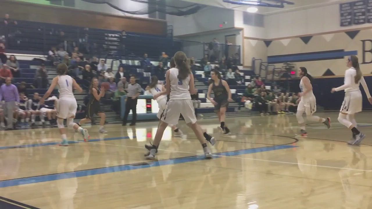 Deer Lakes Burrell girls basketball highlights | Trib HSSN