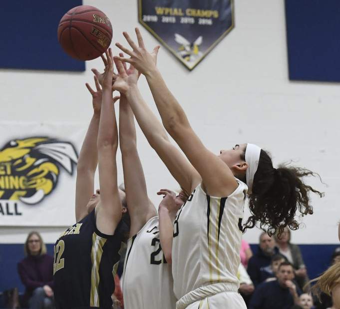 Apollo-Ridge, Knoch among girls teams in mix for playoff berths | Trib HSSN