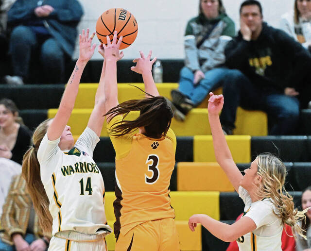 High school roundup for Jan. 16, 2026: Seneca Valley boys beat Fox ...